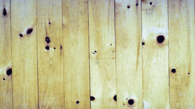 Can You Stain Yellow Pine? A Comprehensive Guide To Achieving The ...